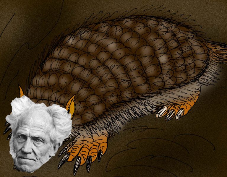 Types of Animals Named for Philosophers - Daily Nous